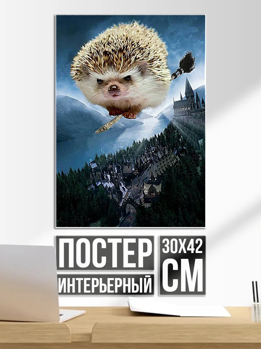 Постер на стену Хогвардс Ежик