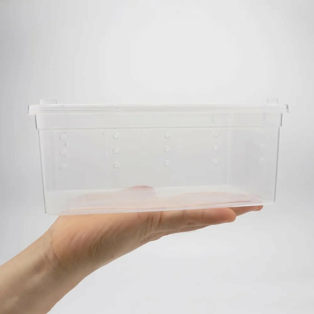 Террариум для рептилий и амфибий: лягушек, ящериц, змей, пауков, улиток и черепах