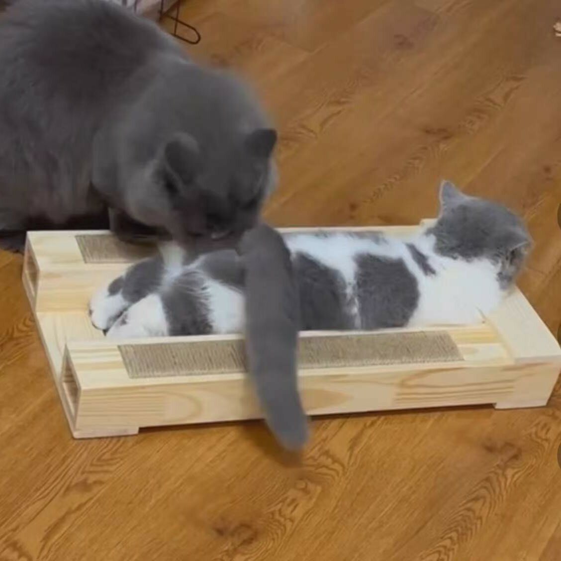 Кошачий лазерный пост с мешковиной и деревянным основанием для разведения, прочный и удобный для кошек