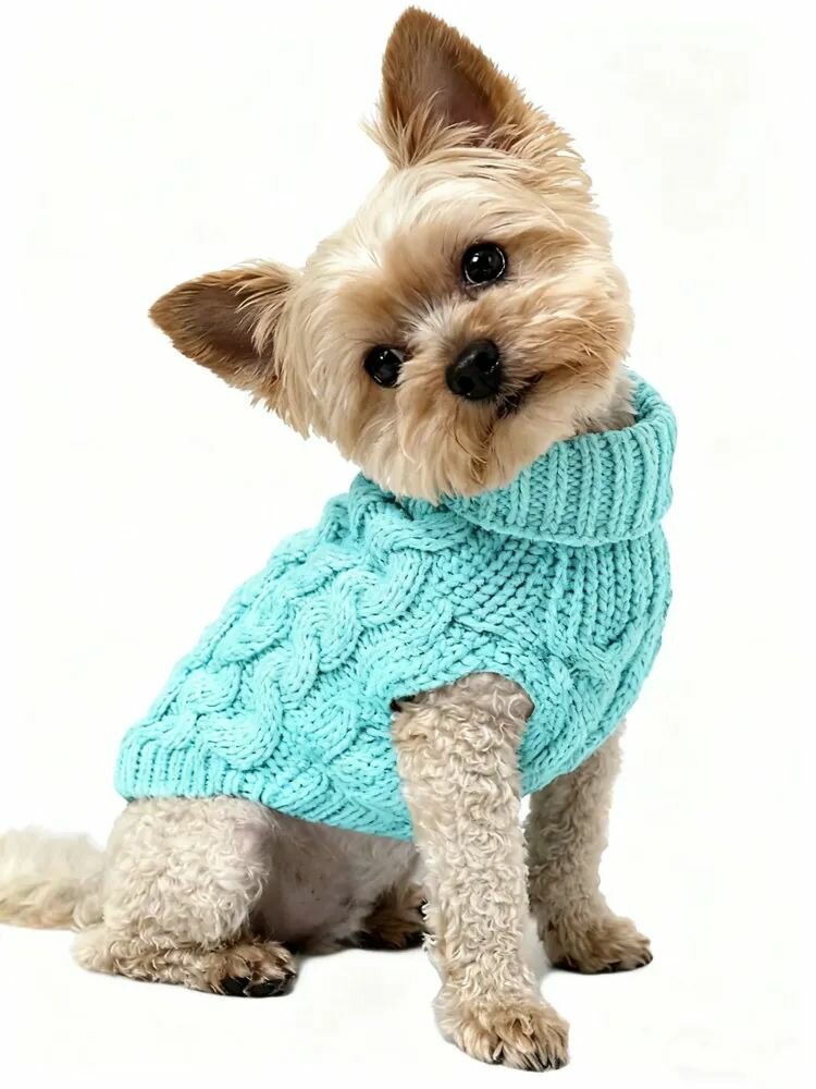 Теплые одежды для собак и кошек，Дышащий и ветрозащитный, универсальный в любое время года