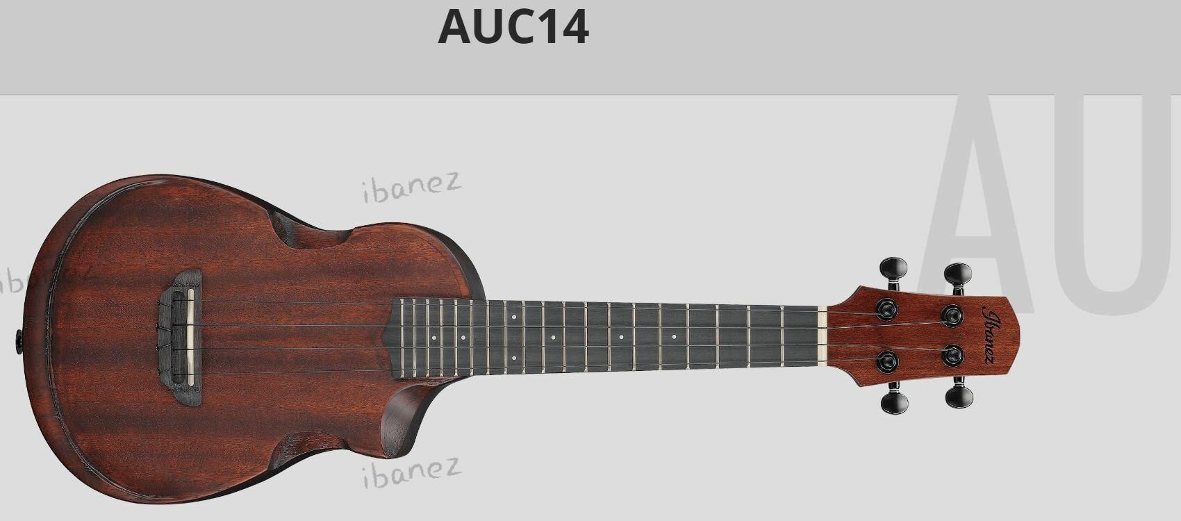 Ibanez Акустическая гитара AUC14 4-струнная
