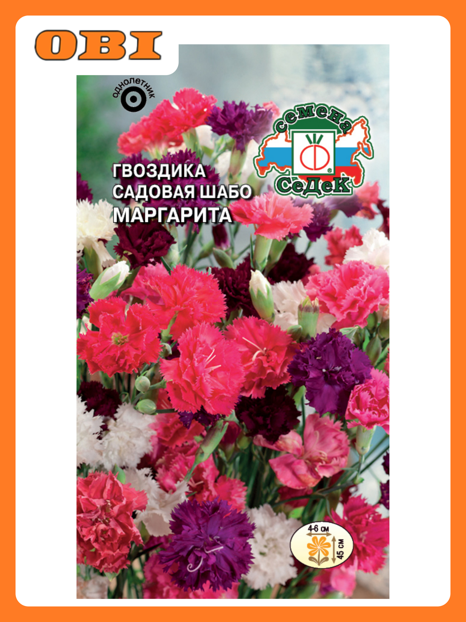 Семена цветок Гвоздика многоцветный