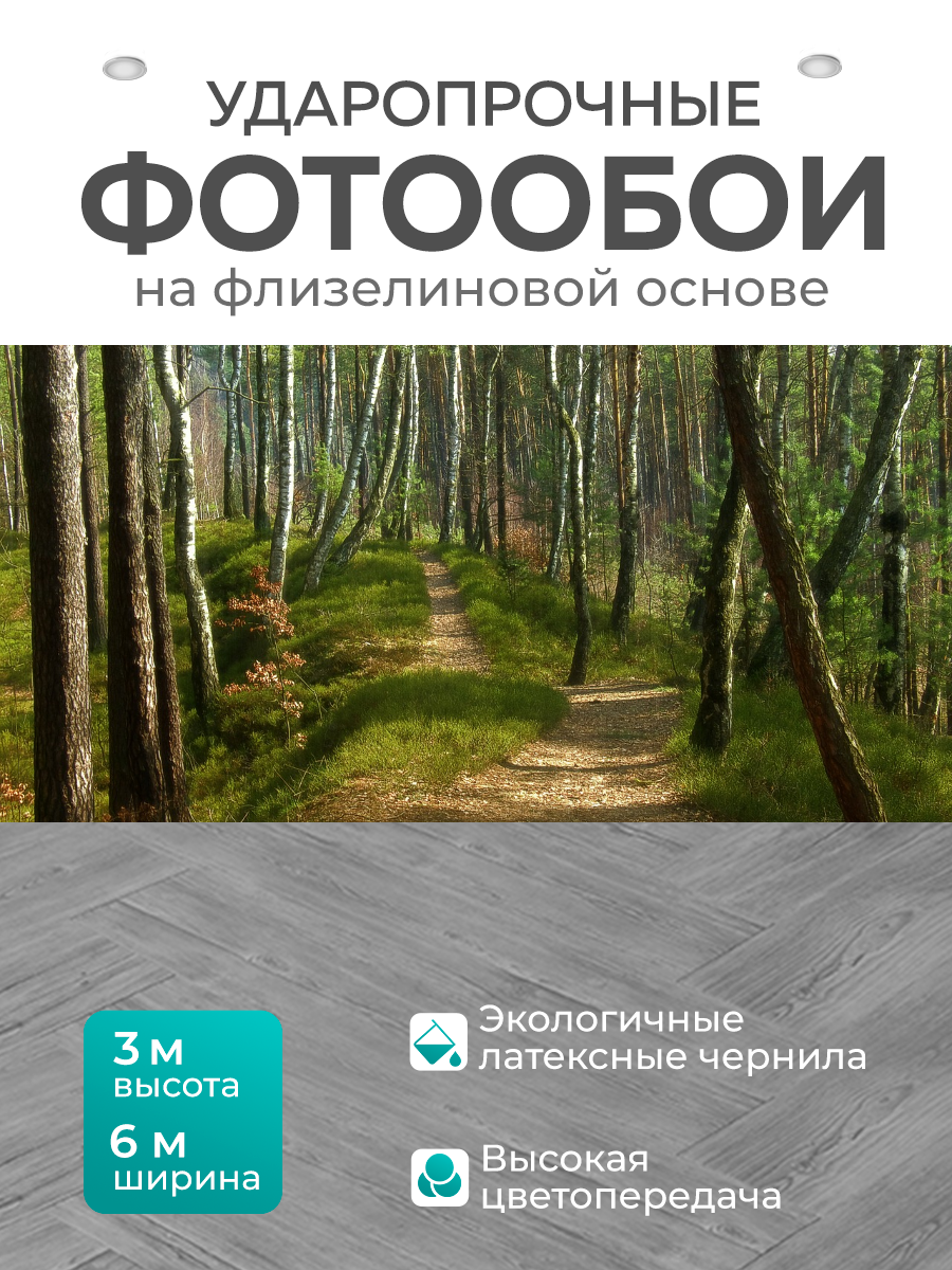 Фотообои моющиеся ударопрочные "Лес, способ, лесная дорога" 600x300 см. флизелиновые на стену