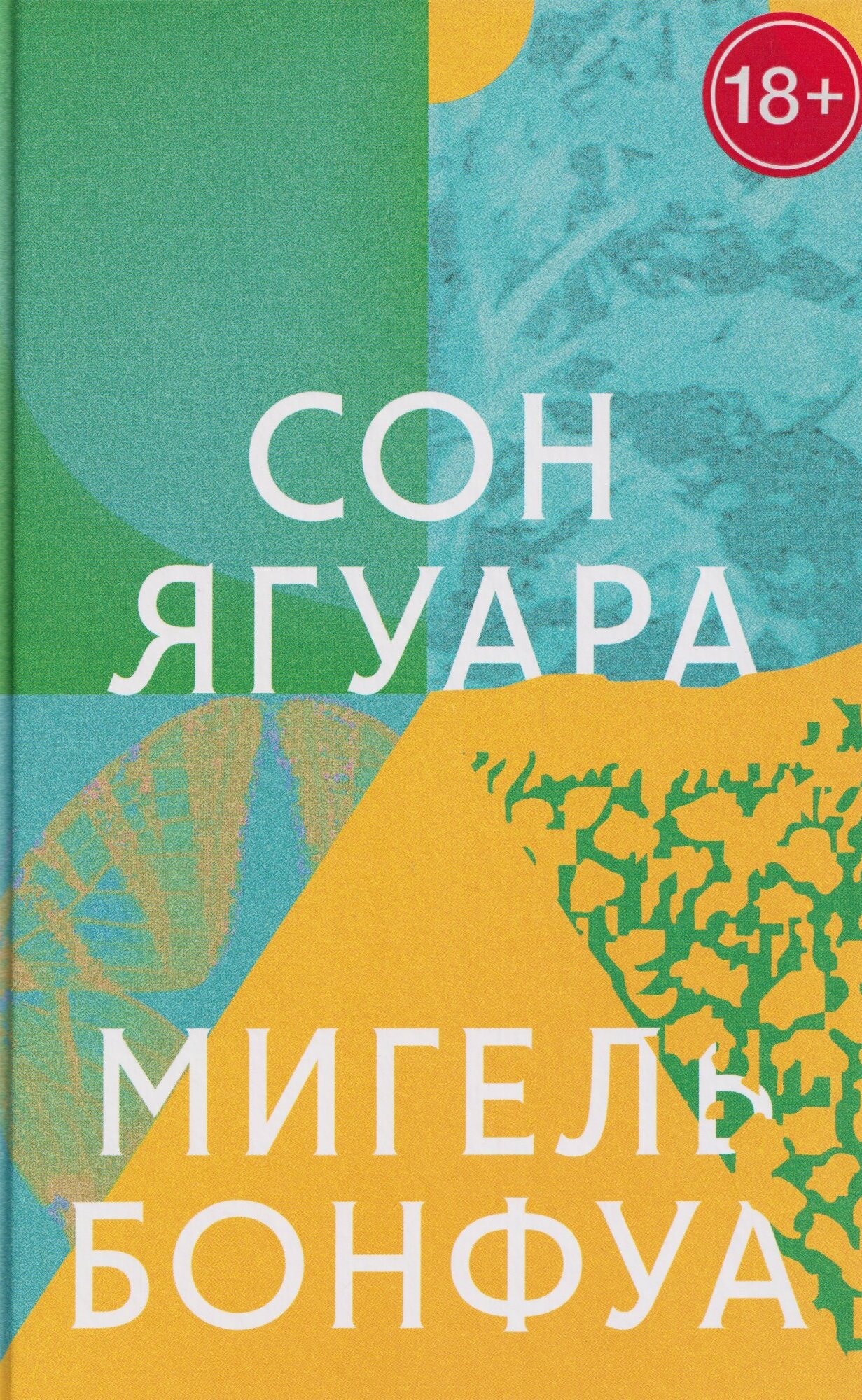 Сон ягуара