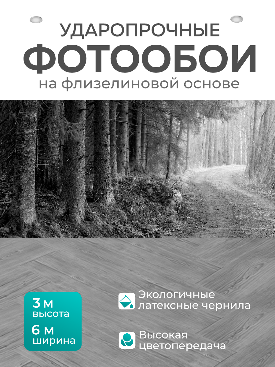 Фотообои моющиеся ударопрочные "Лесная дорога, черно-белое фото" 600x300 см. флизелиновые на стену