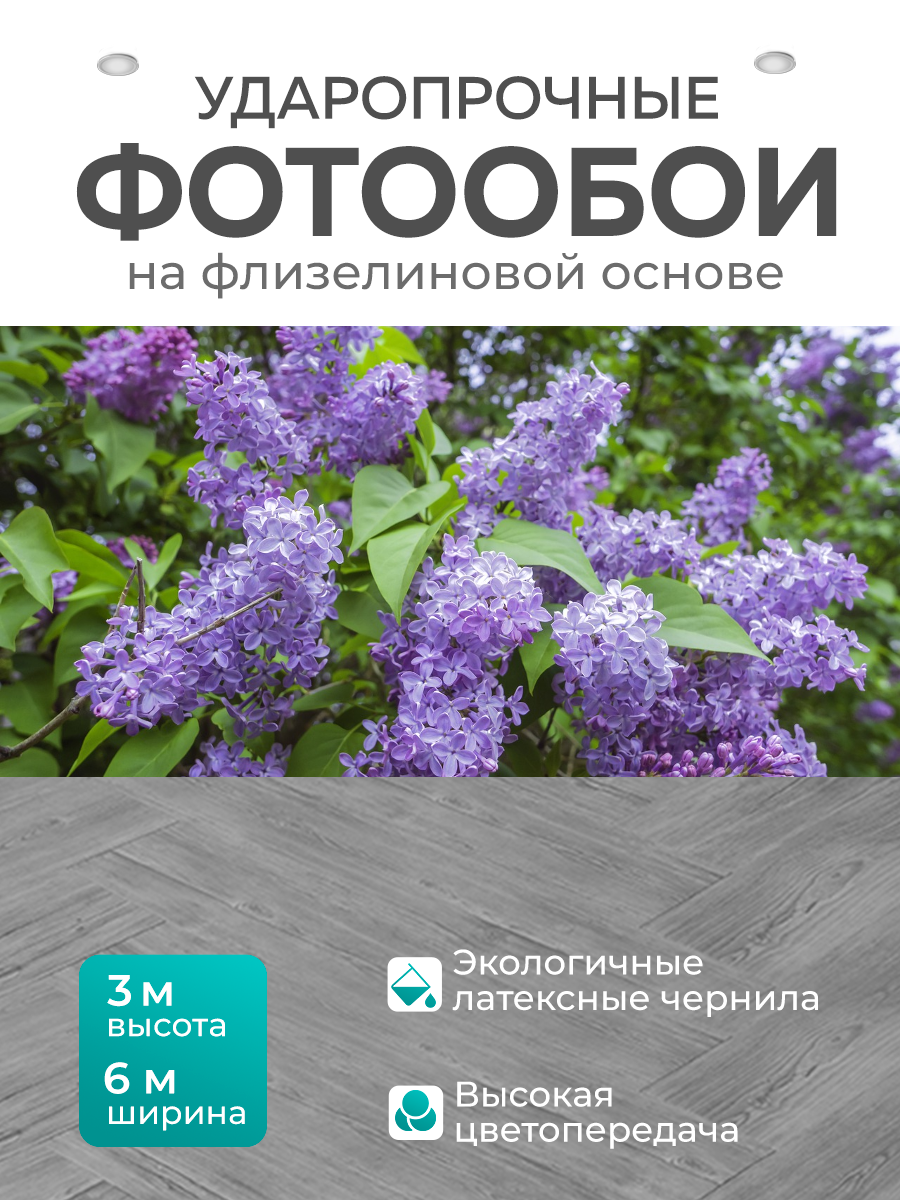 Фотообои моющиеся ударопрочные "Сирень, цветы, ветви" 600x300 см. флизелиновые на стену