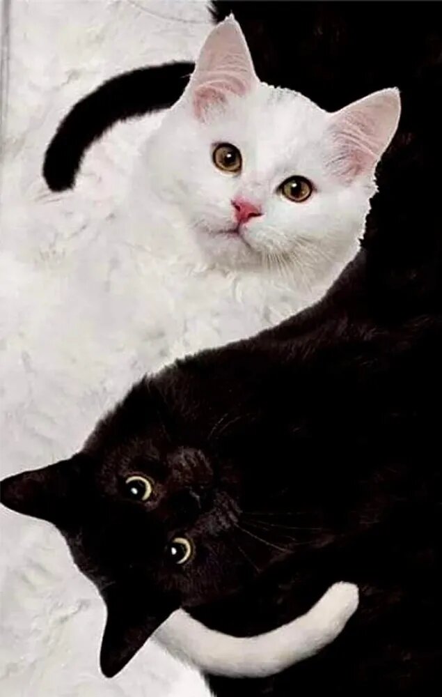 Алмазная Мозаика "Букет Гортензии, Георгин И Роз. Цветы" 30х40 См Алмазная Вышивка / Картина Стразами Подарков / Украшения