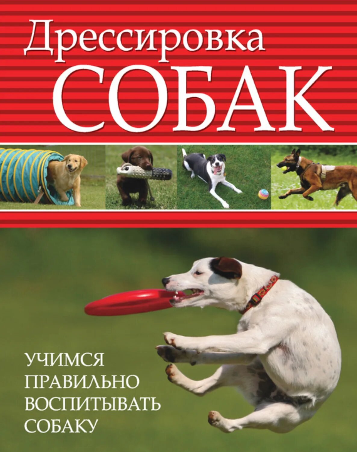 Дрессировка собак. Учимся правильно воспитывать собаку [Цифровая книга]