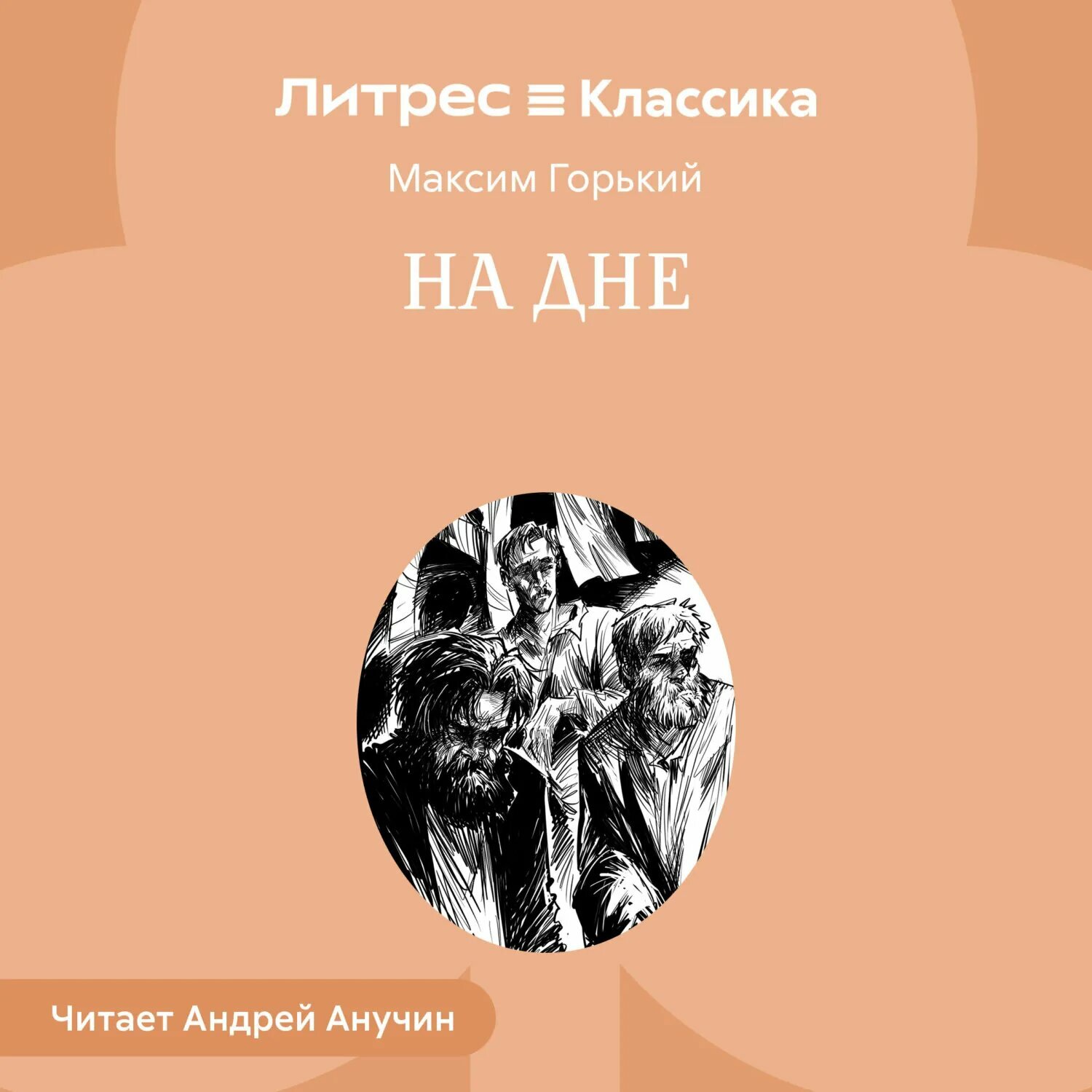 На дне [Аудиокнига]