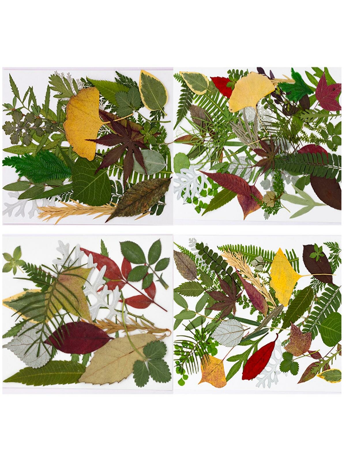 120шт Пучки прессованных листьев, 4шт образцы натуральных растений для креативных дизайнов из эпоксидной смолы
