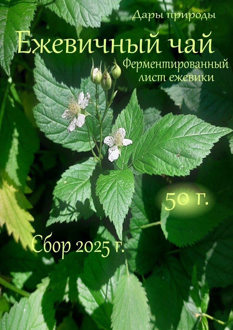 Ежевичный чай, ферментированные листья