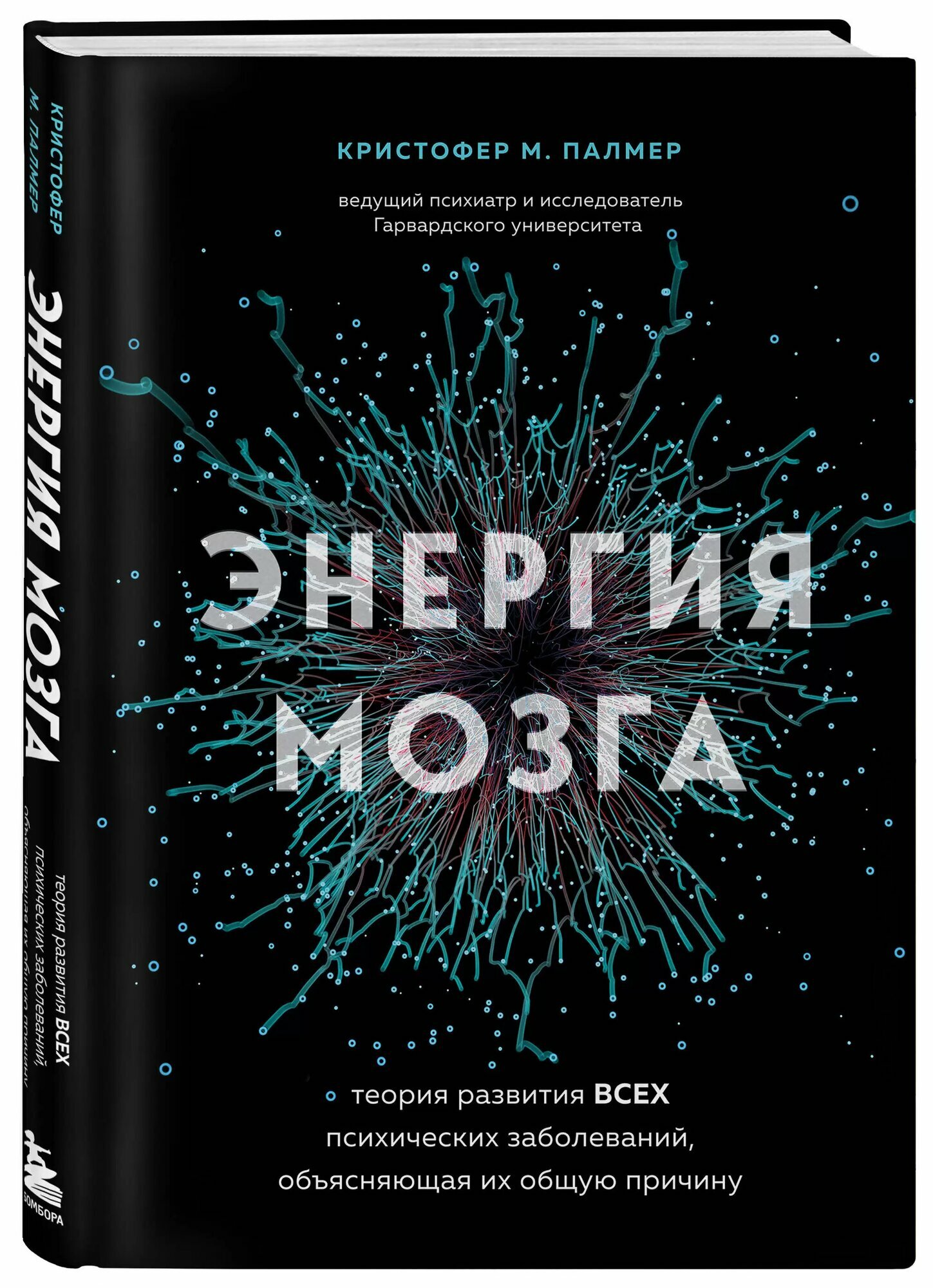 Энергия мозга. Теория развития всех психических заболеваний, объясняющая их общую причину. Электронная