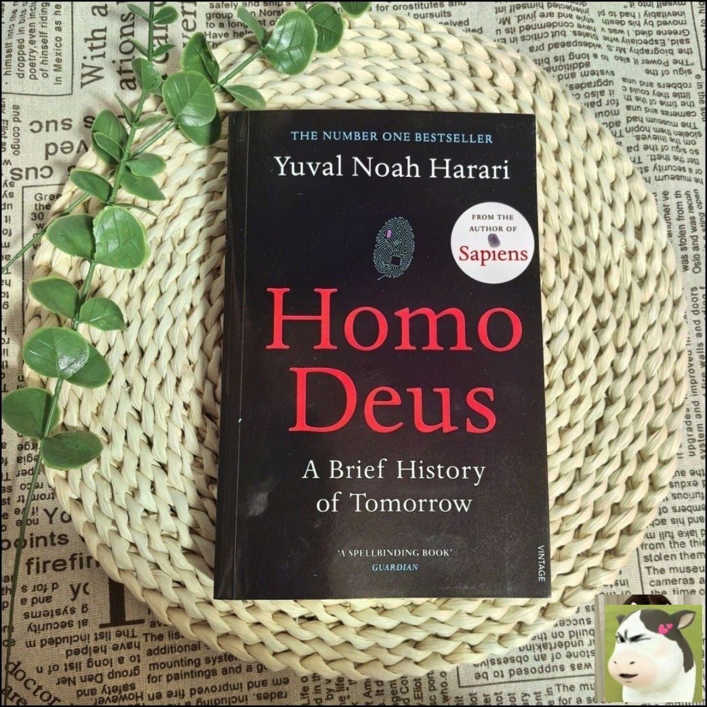 A Brief History of Tomorrow , на английском языке Homo Deus: Краткая история будущего Книга на английском , Юваль Ной Харари, Harari Yuval Noah