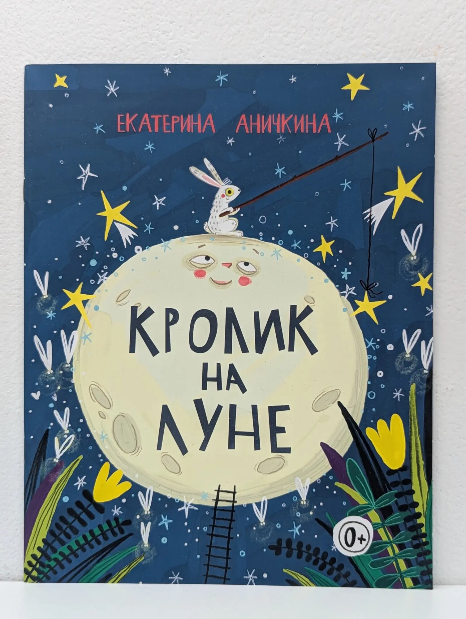 Кролик на Луне Аничкина Екатерина Анатольевна 2024