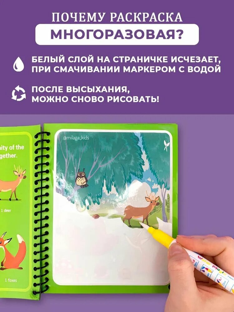 Раскраска — фото 1