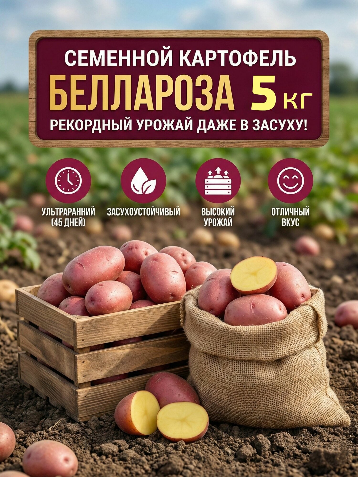 Картофель семенной Беллароза 5 кг клубни на посадку ранний скороспелый сорт для жарки, супов, салатов