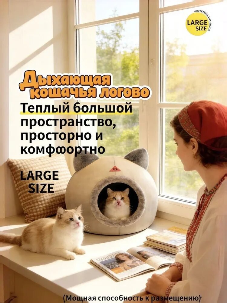 Приют для котов Кошачий мир на Земле безопасное место для питомцев