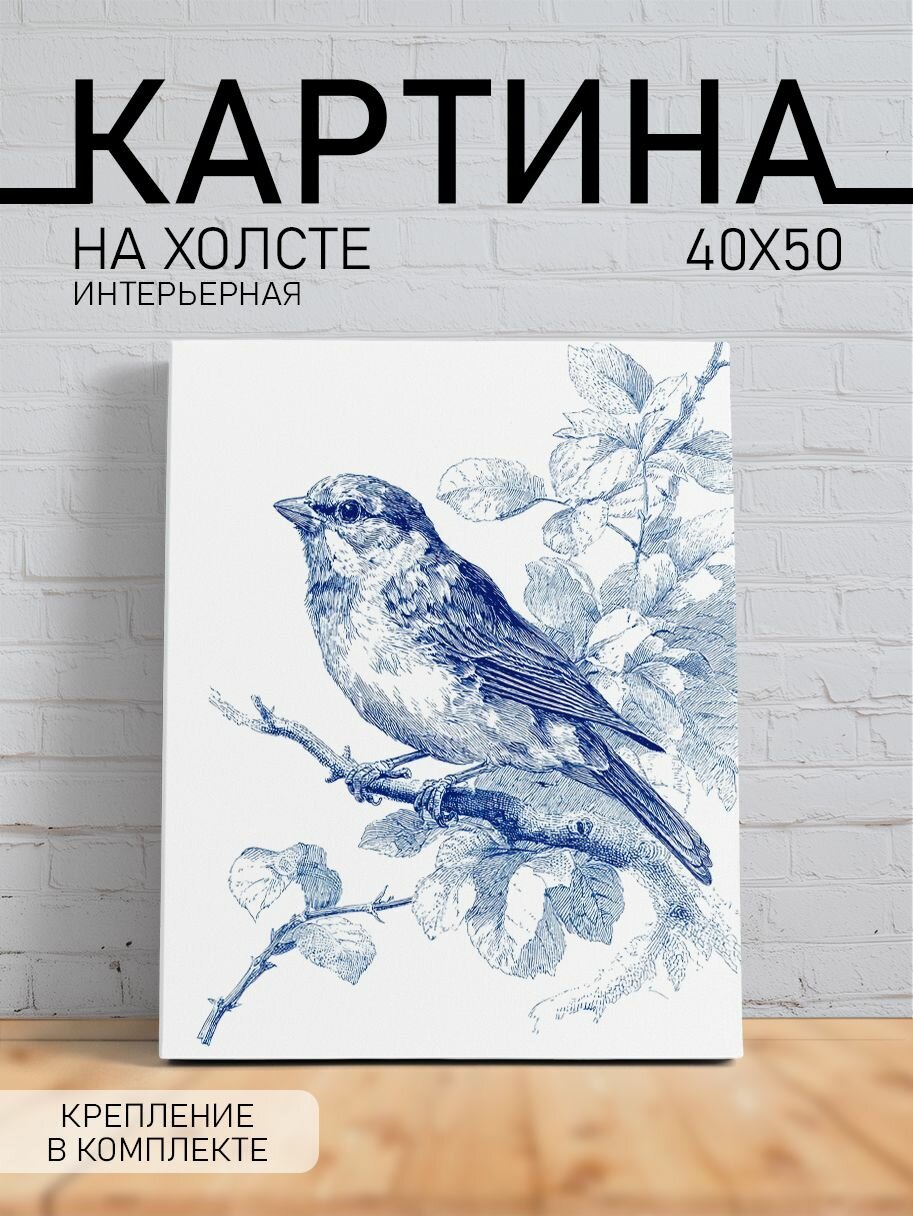 Картина на стену для интерьера на холсте с подрамником "Птица", 40х50 см