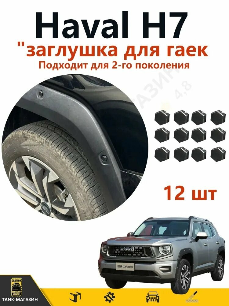 Haval Защита внешних частей автомобиля, 12 шт.