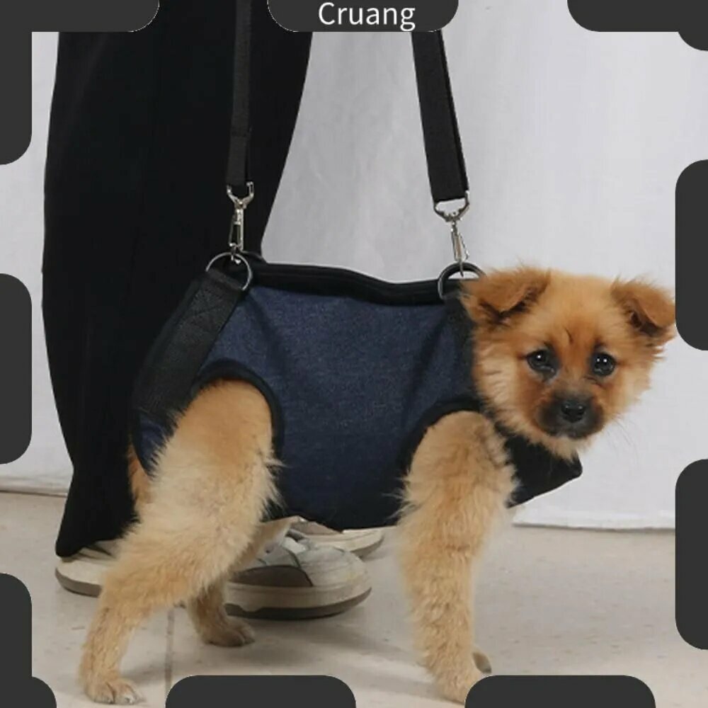 Собака носит слинг