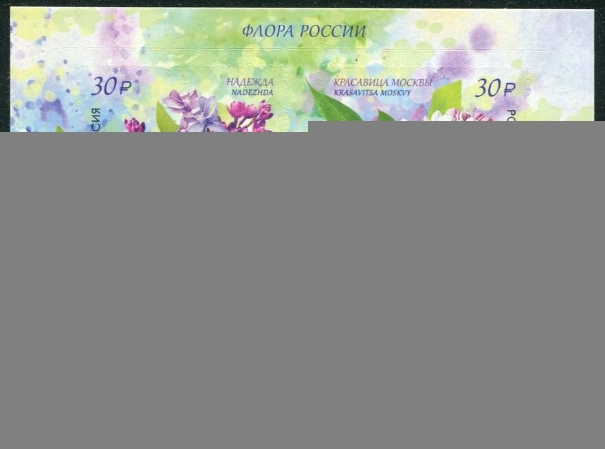 Почтовые марки Россия 2018г. "Сирень" Цветы MNH