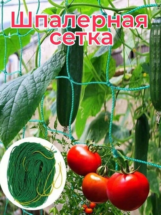 Сетка садовая шпалерная, Полиэтилен,1.8х1.8м