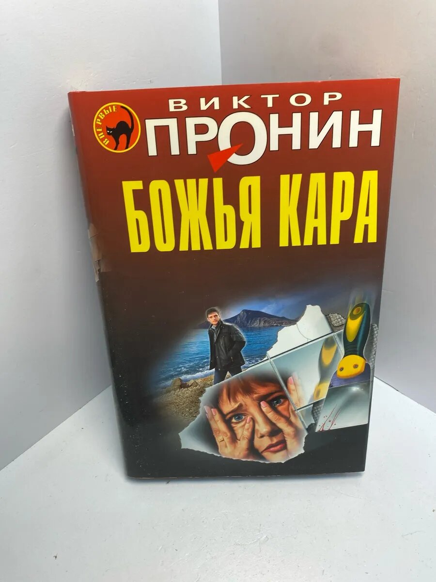 Книга Виктор Пронин Божья кара 1747