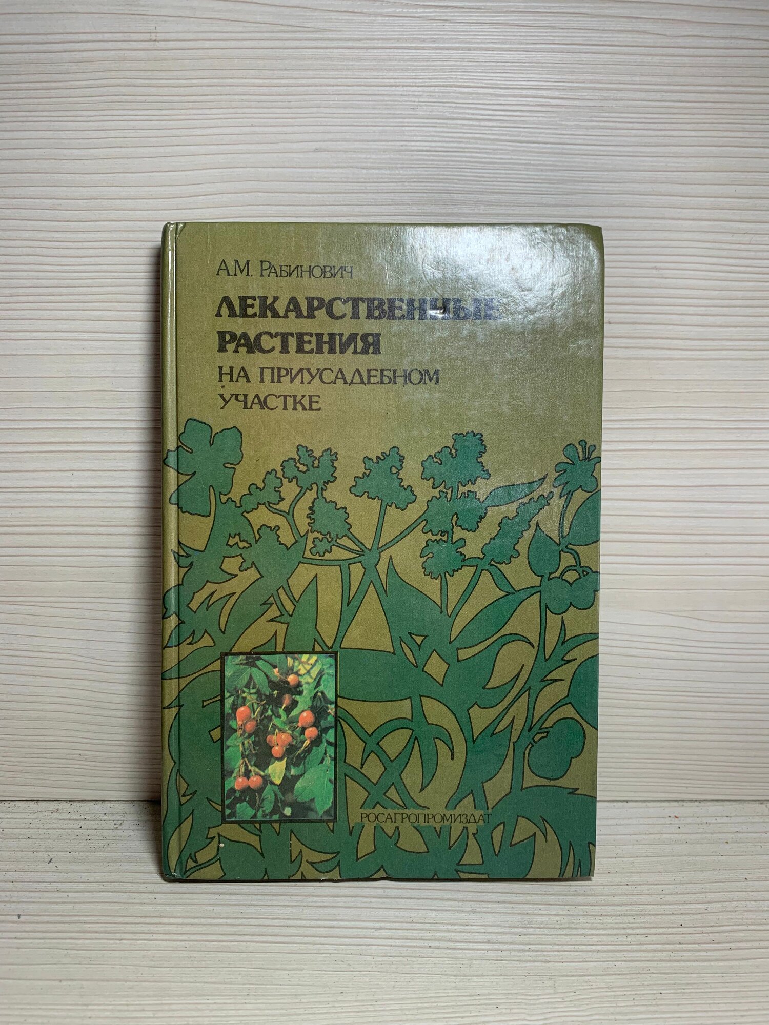Лекарственные растения на приусадебном участке