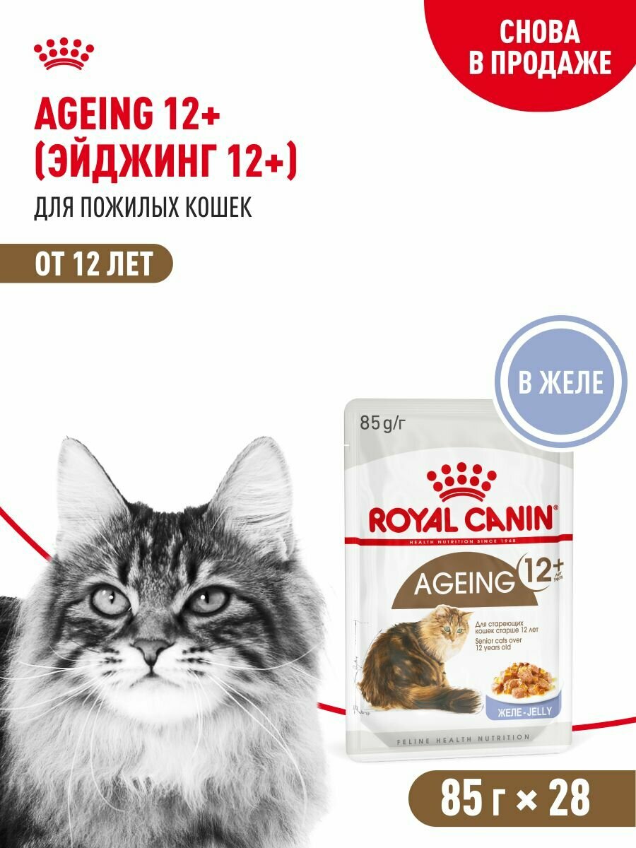 Влажный корм для кошек пожилых Royal Canin Ageing, кусочки в желе, 85 г х 28 шт