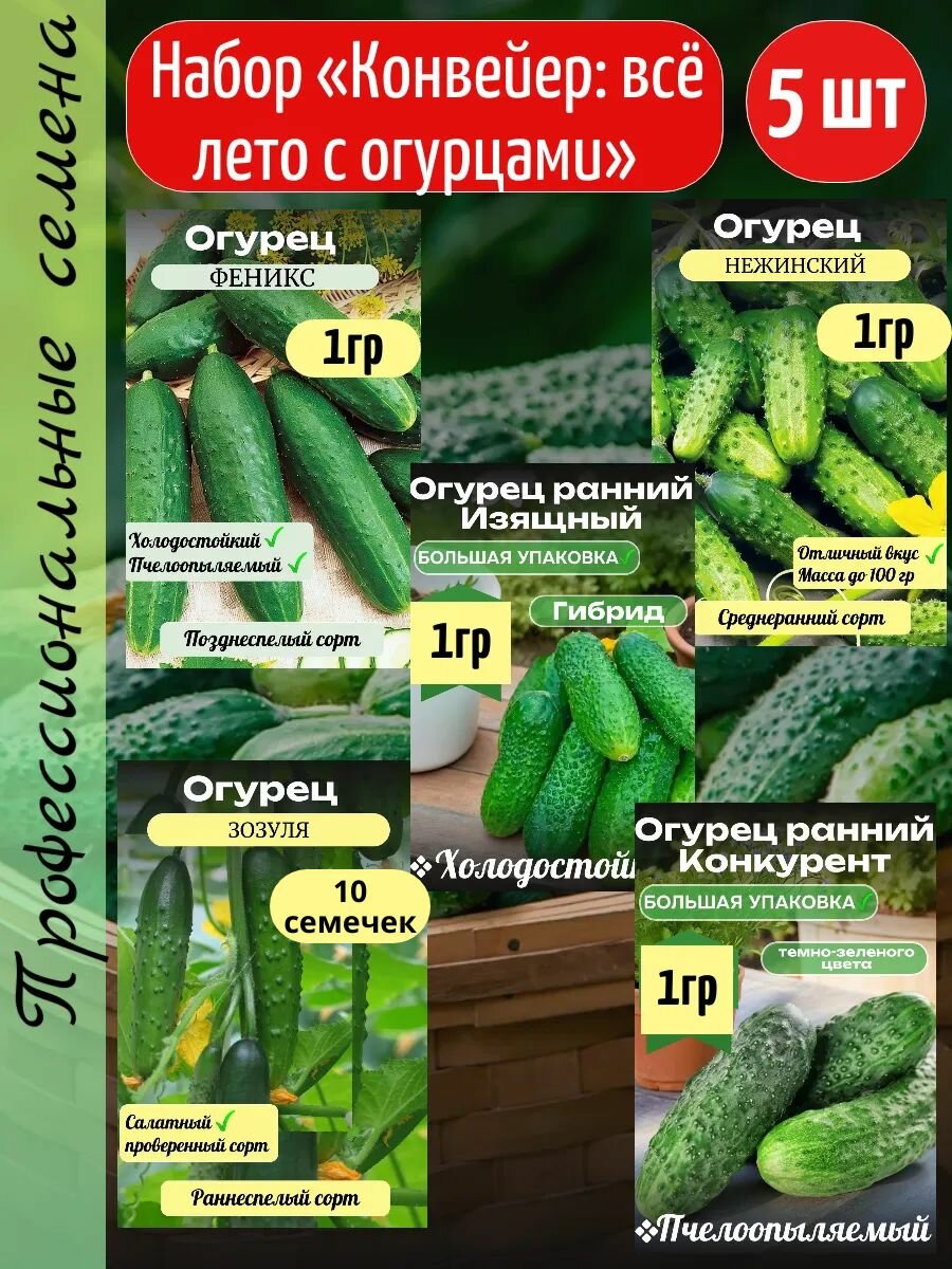 Семена Набор салатных огурцов 5шт