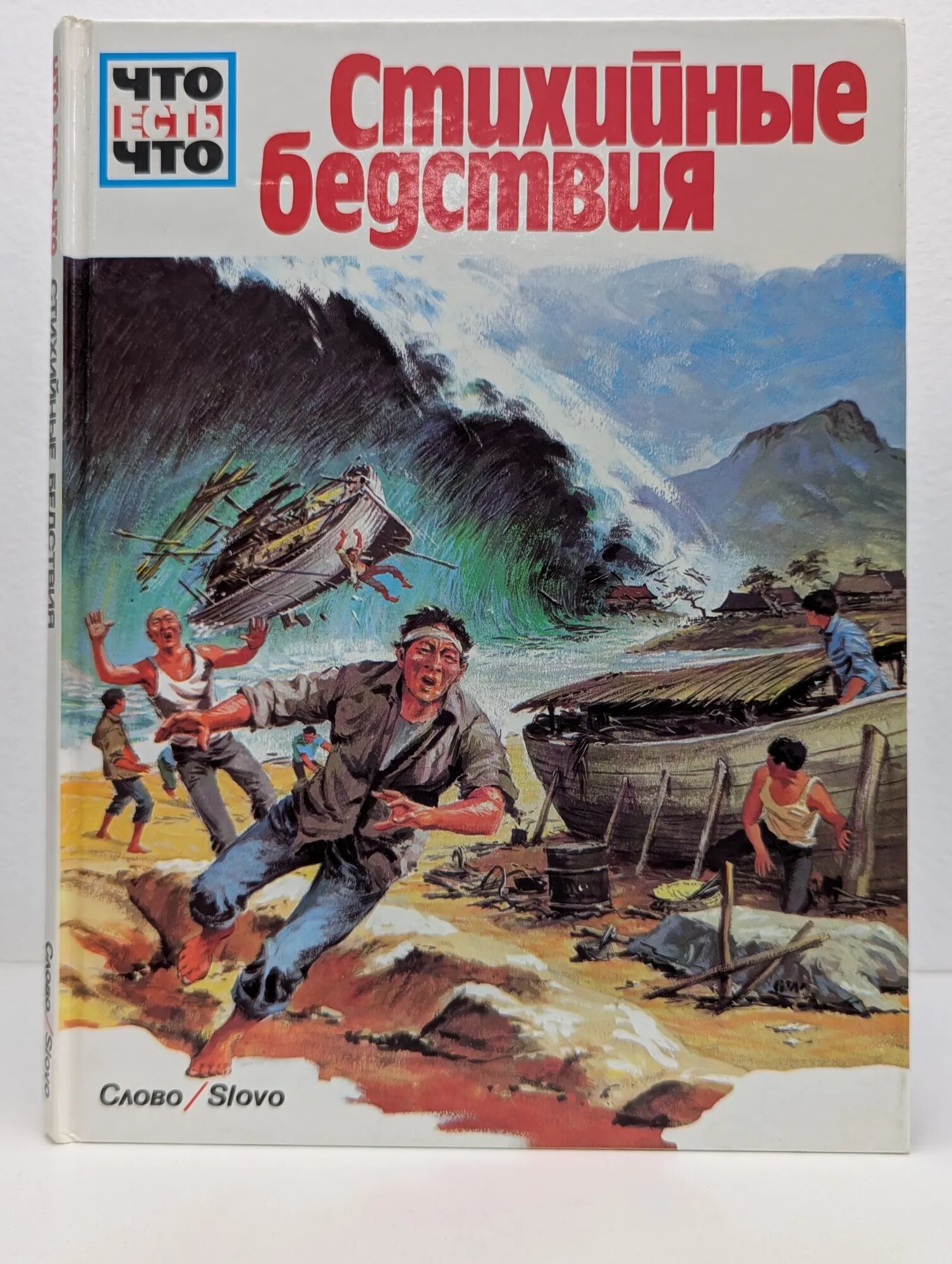 Что есть что. Стихийные бедствия Ясаманов Николай Александрович 1994