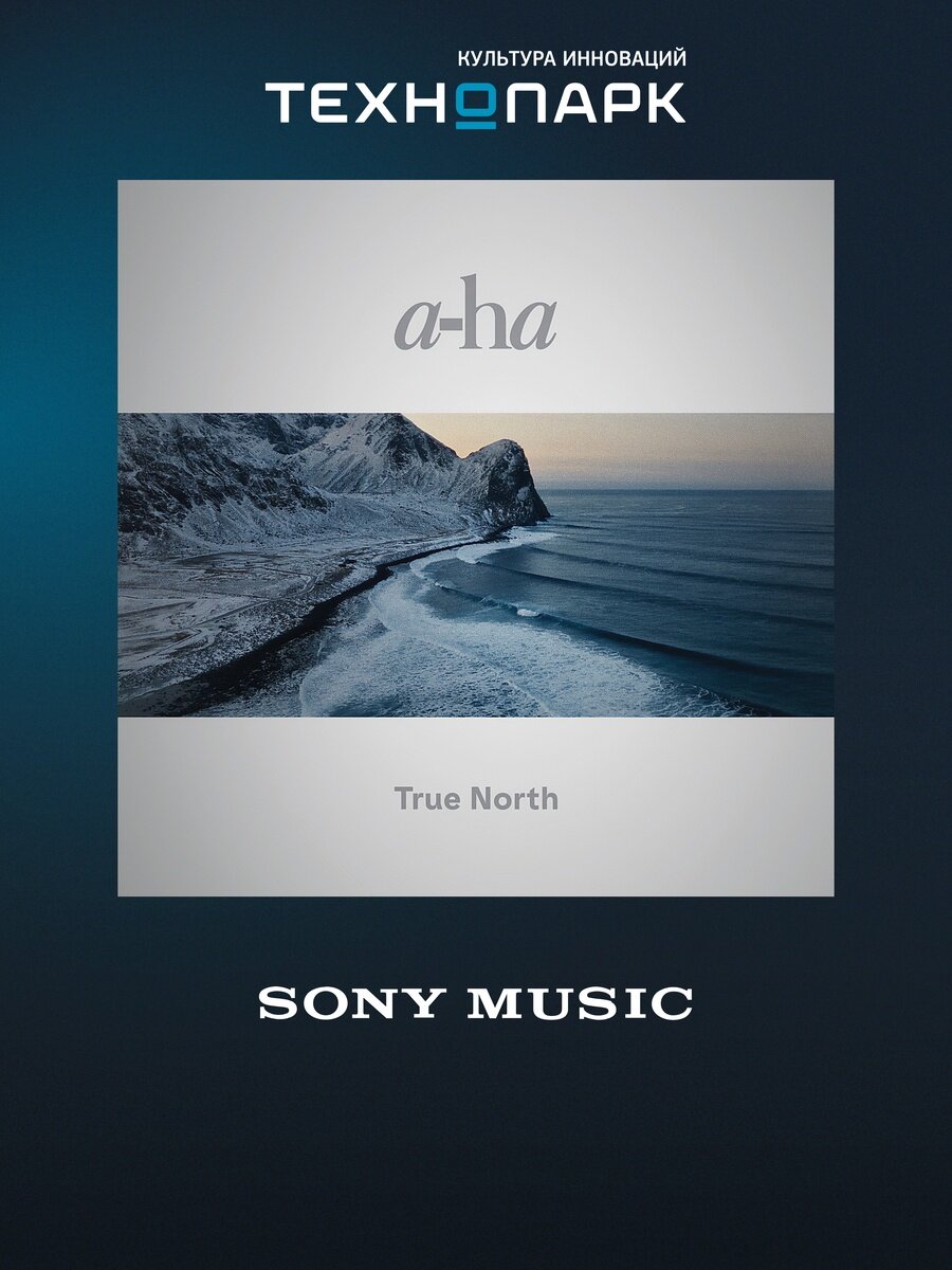 Виниловая пластинка Sony Music A-Ha / True North
