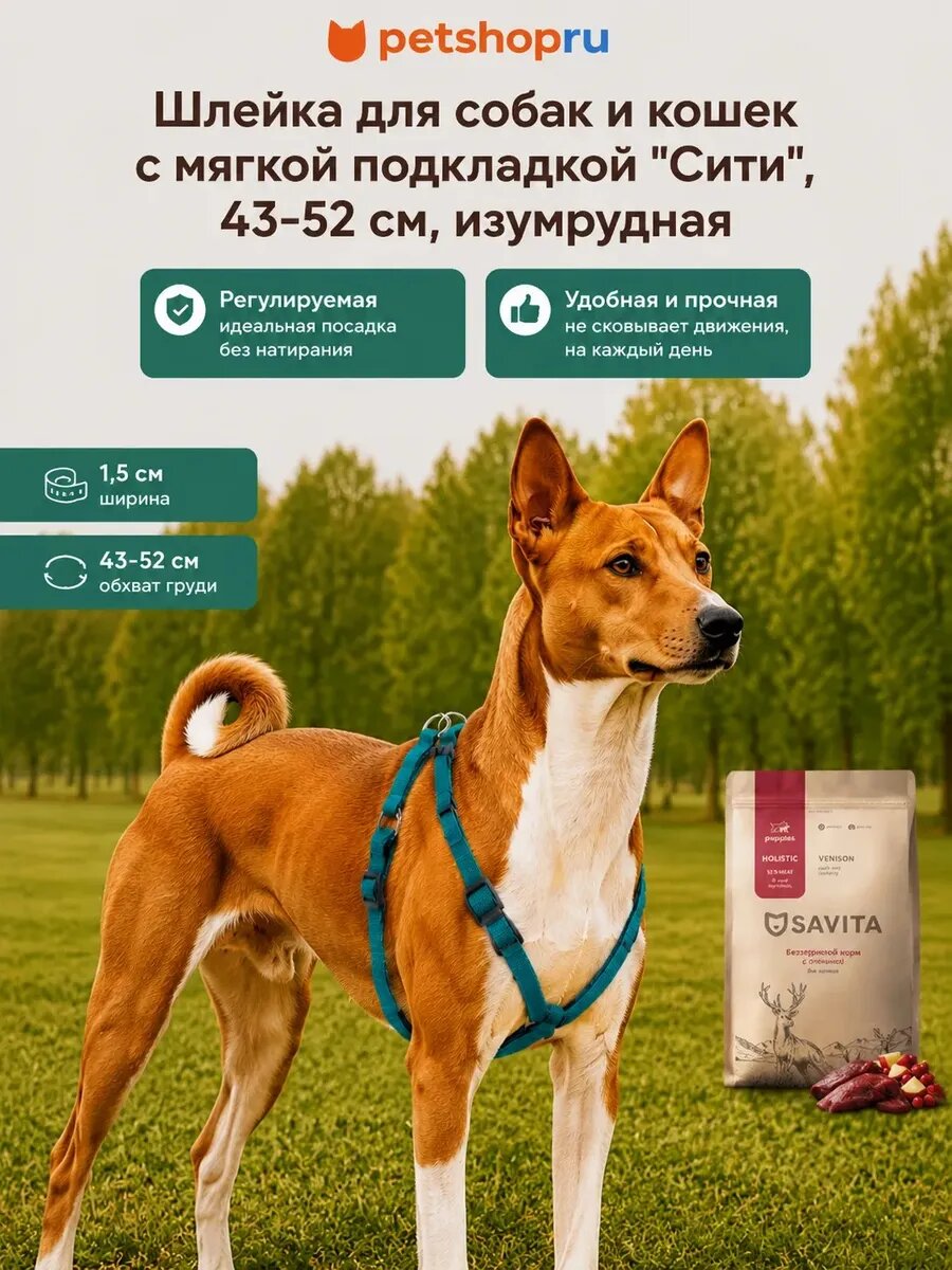 Yami Yami амуниция Шлейка "Сити" с мягкой подкладкой для собак, изумрудная, XS
