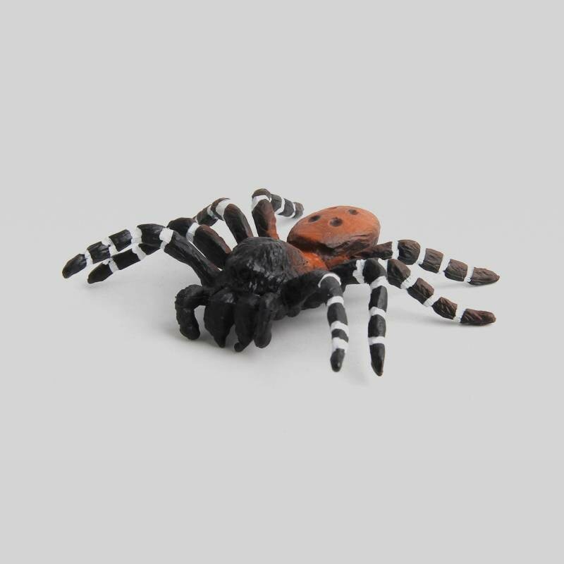Realistic pvc insect bees spiders replicas set for educational display and classroom learning red