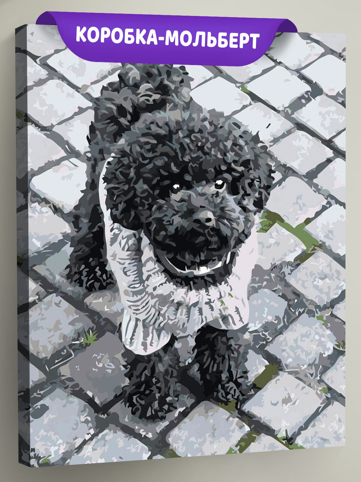 Картина по номерам на холсте с подрамником "Собаки: черный той пудель на улице, чб" Раскраска 40x50, черно-белые щенок