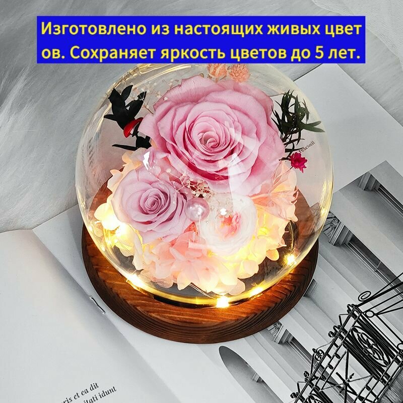 Вечные цветы из настоящих цветов в стеклянном куполе Подарок на 8 марта День рождения День влюбленных