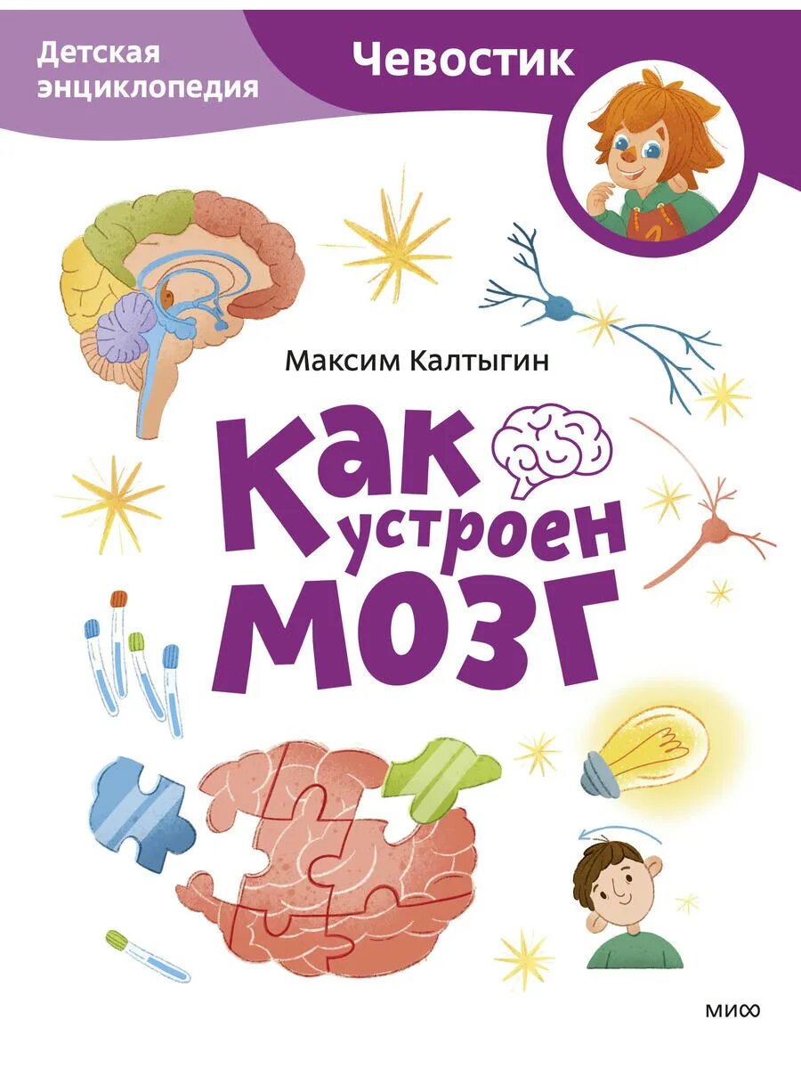 Как устроен мозг. Детская энциклопедия (Чевостик) (Paperback