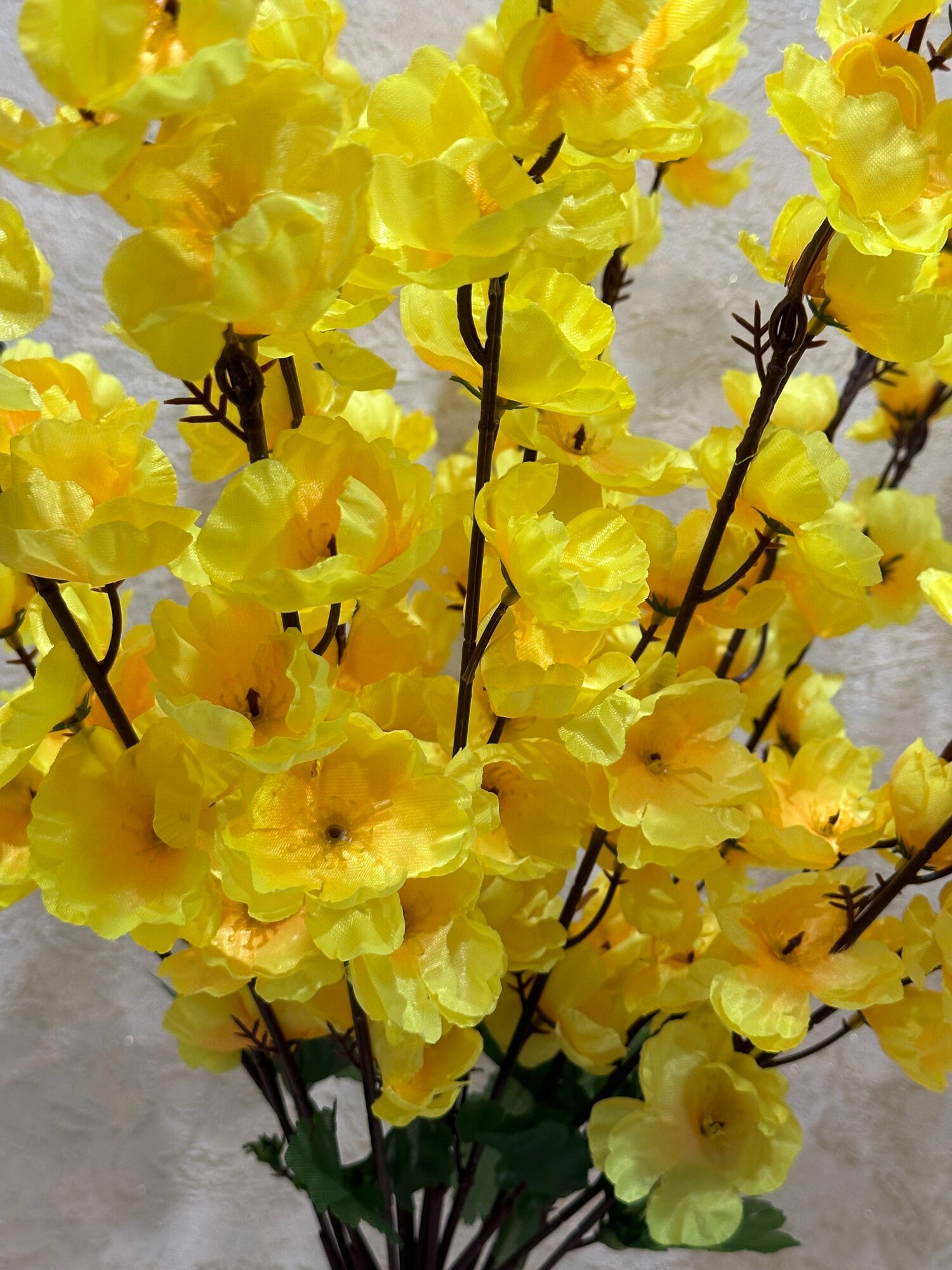 Сакура куст 18 веток