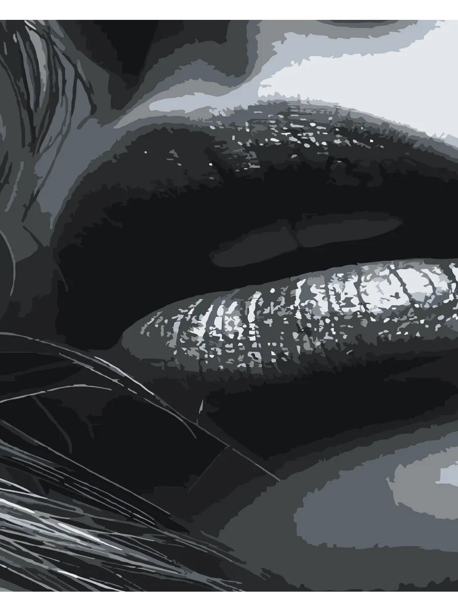 Картина по номерам Губы Макияж