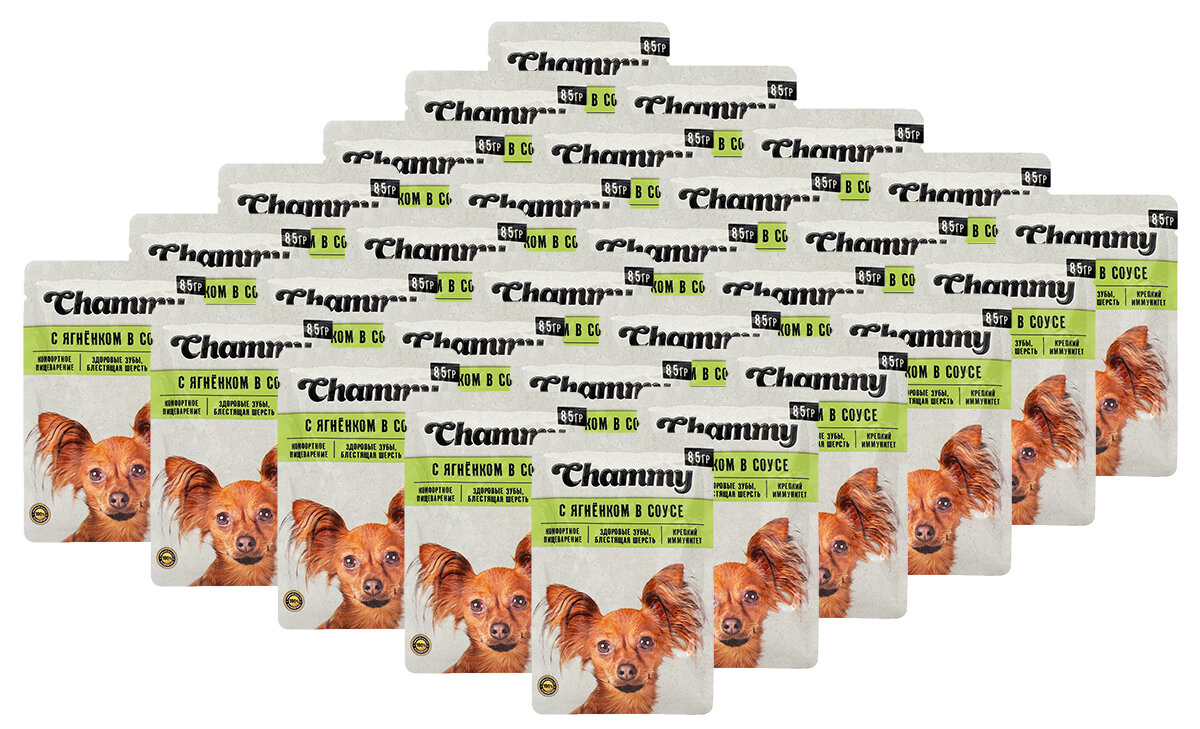 Корм влажный Chammy для взрослых собак с ягненком в соусе пауч 85 г х 30 шт