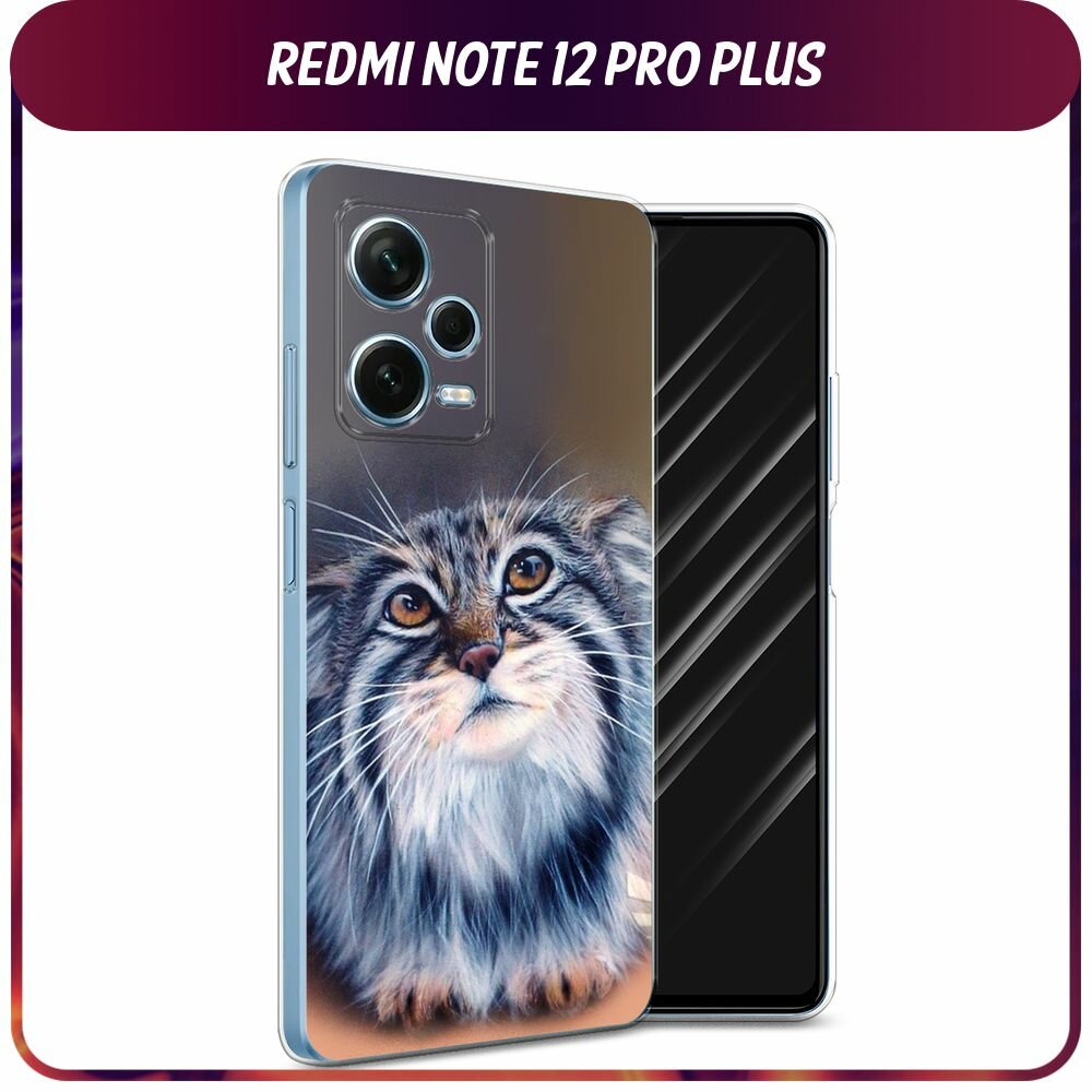 Чехол на Xiaomi Redmi Note 12 Pro Plus / Сяоми Редми Нот 12 Про Плюс с принтом "Кот манул 2"