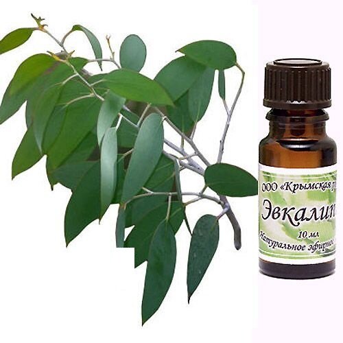 Эфирное масло Крымская роза эвкалипта, 10 мл, для наружного применения