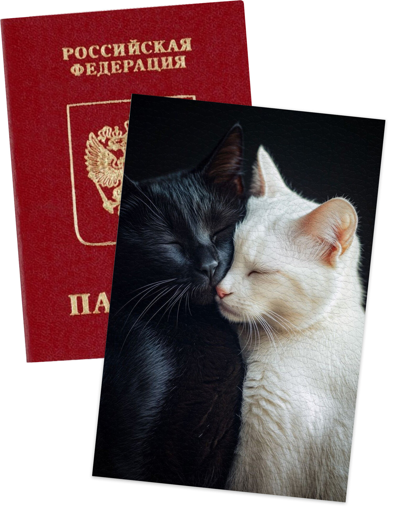 Обложка для паспорта