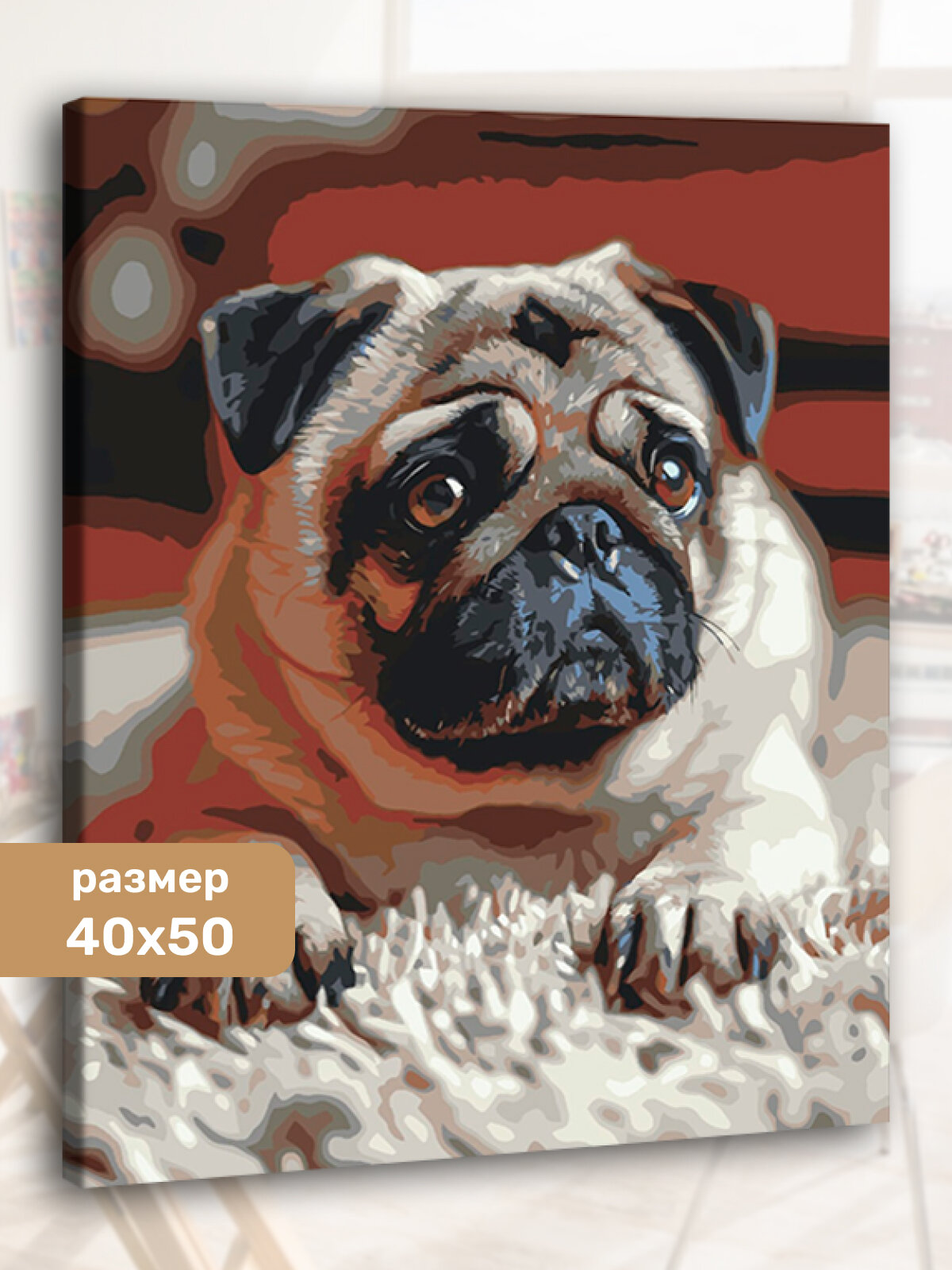 Картина по номерам на холсте и подрамнике "Мопс пёсик" 40x50 см