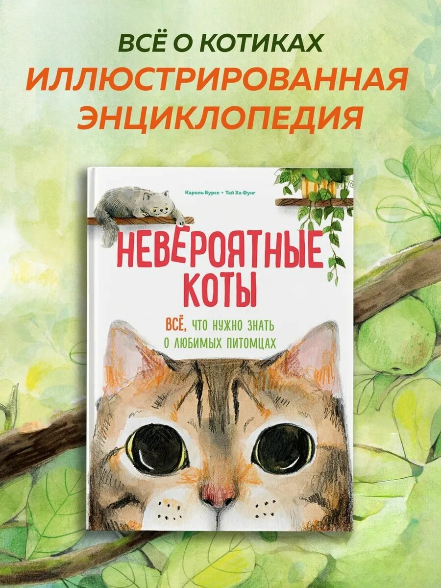 Невероятные коты. Всё, что нужно знать о любимых питомцах