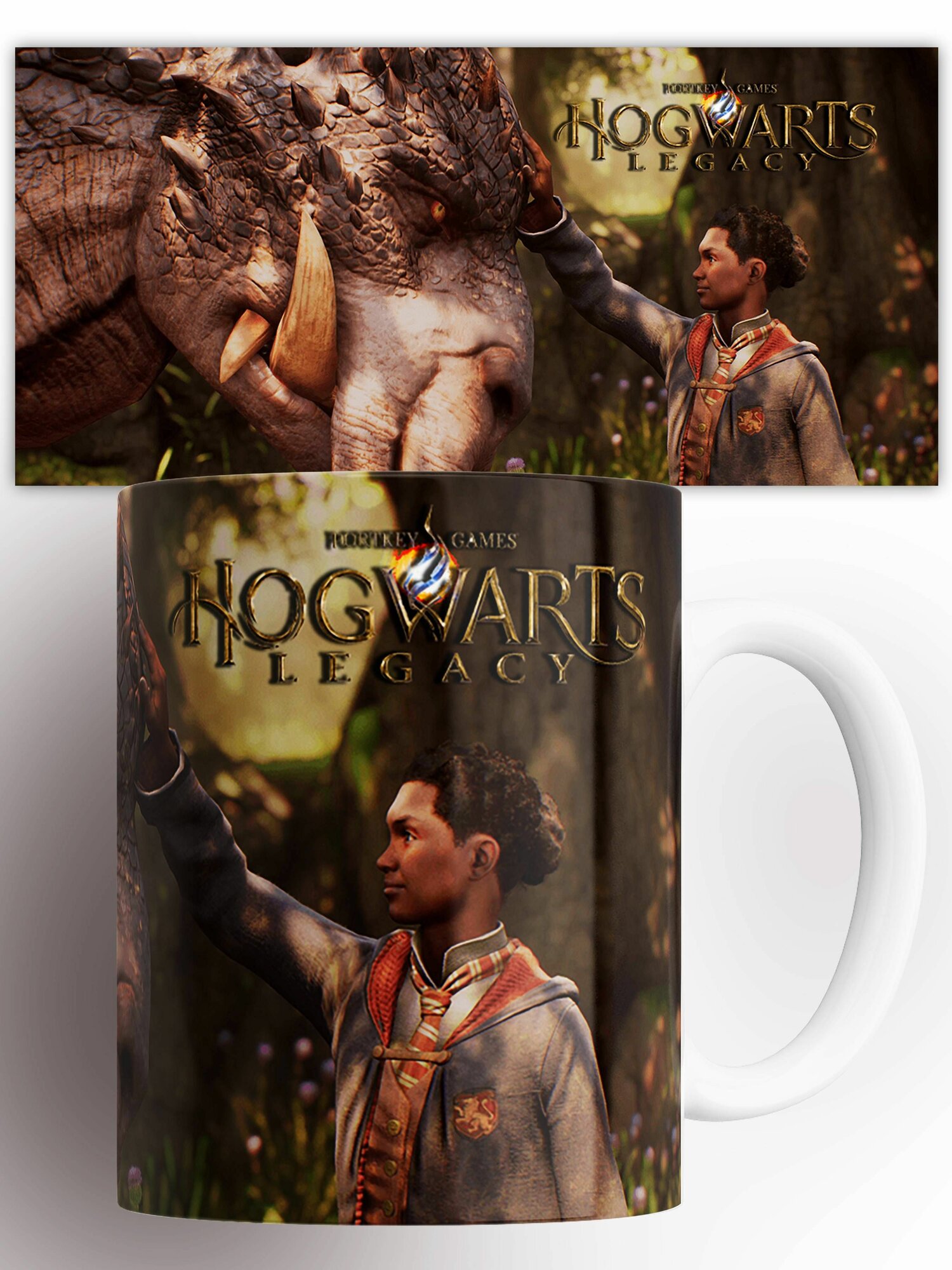 Кружка Hogwarts Legacy Хогвартс Наследие компьютерная игра , на подарок , с принтом 330 мл