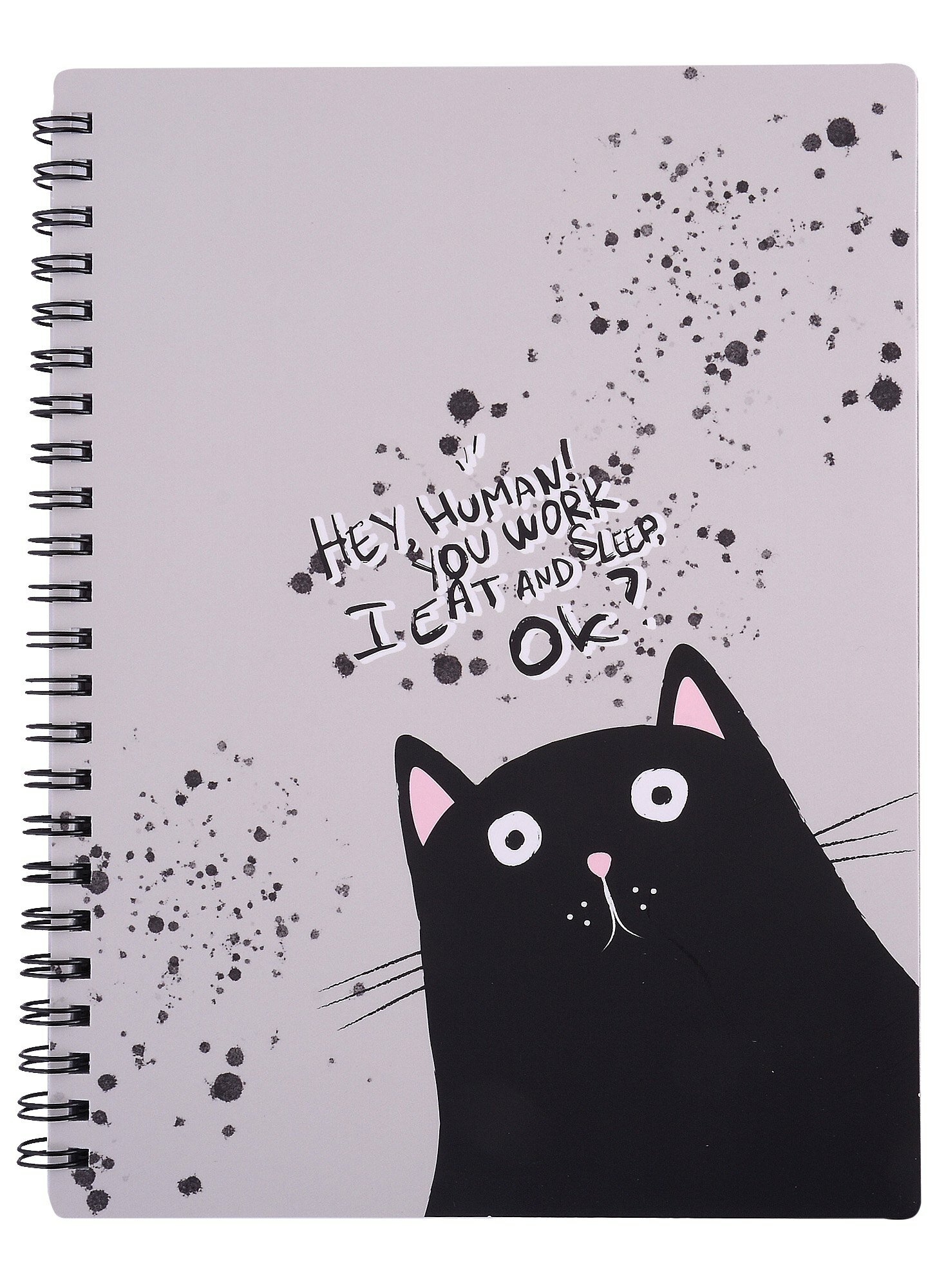 Тетрадь в клетку Be Smart, "Hey human. Кот", 80 листов