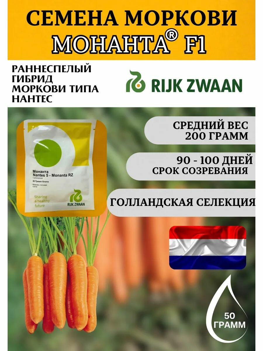 Семена моркови Монанта 50 грамм Rijk Zwaan раннеспелый гибрид типа Нантес