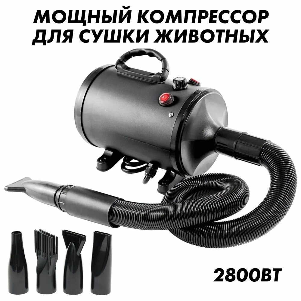 Фен для сушки шерсти животных