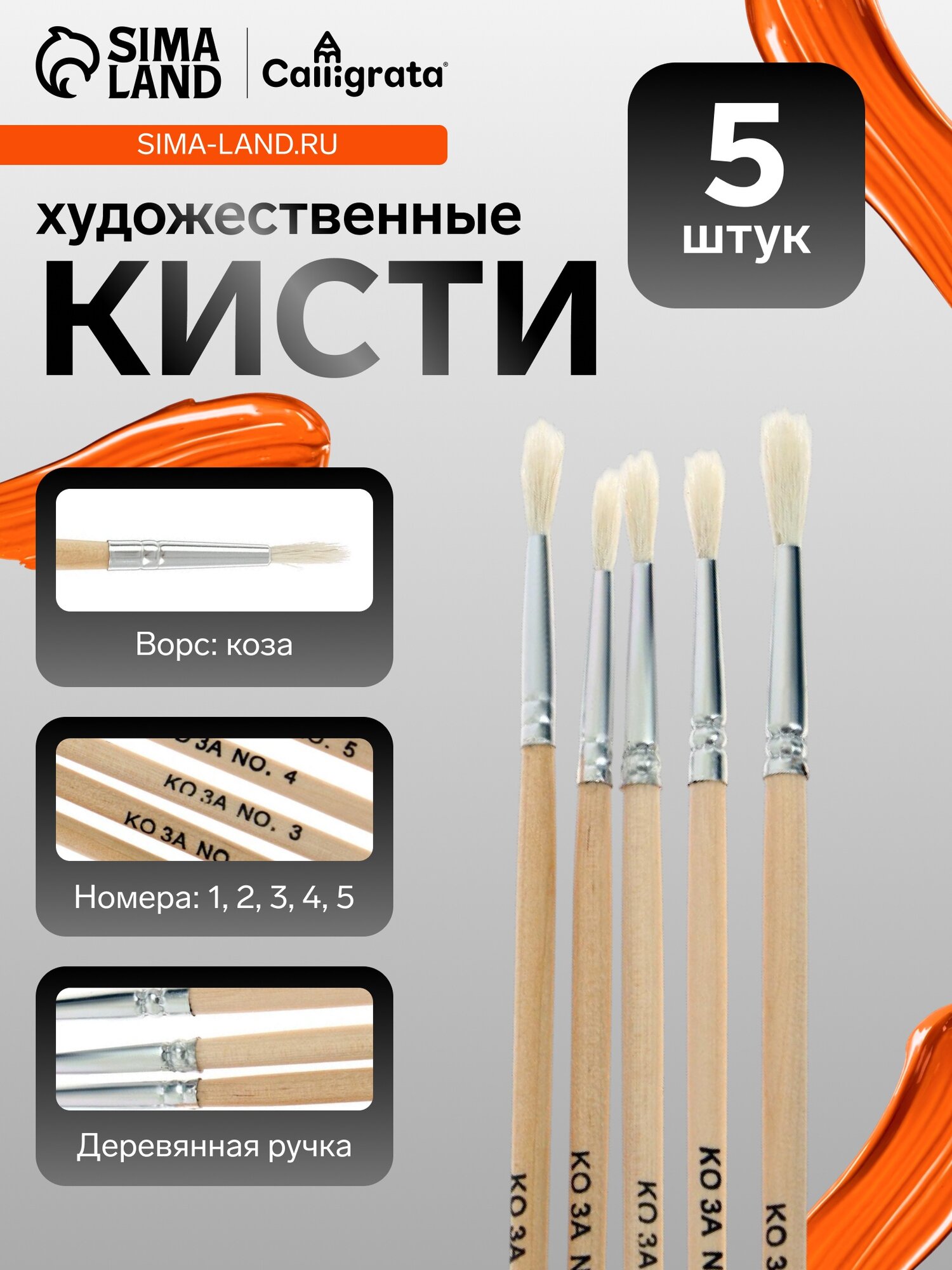 Набор кистей для рисования, коза, 5 штук: № 1, 2, 3, 4, 5, круглые, деревянная ручка, международный размер